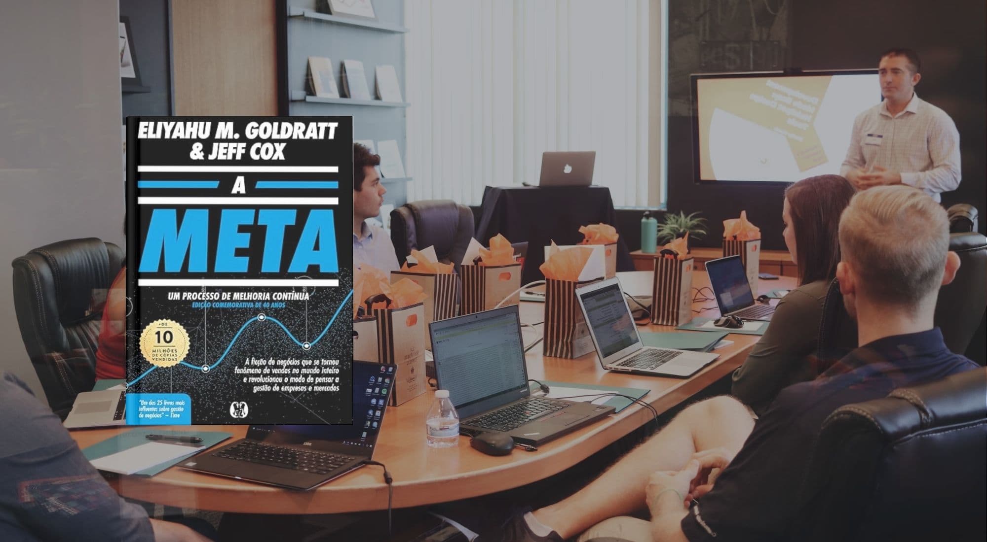 Resumo do livro A Meta de Eliyahu M. Goldratt